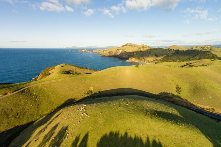 Gallery - Mataka Station